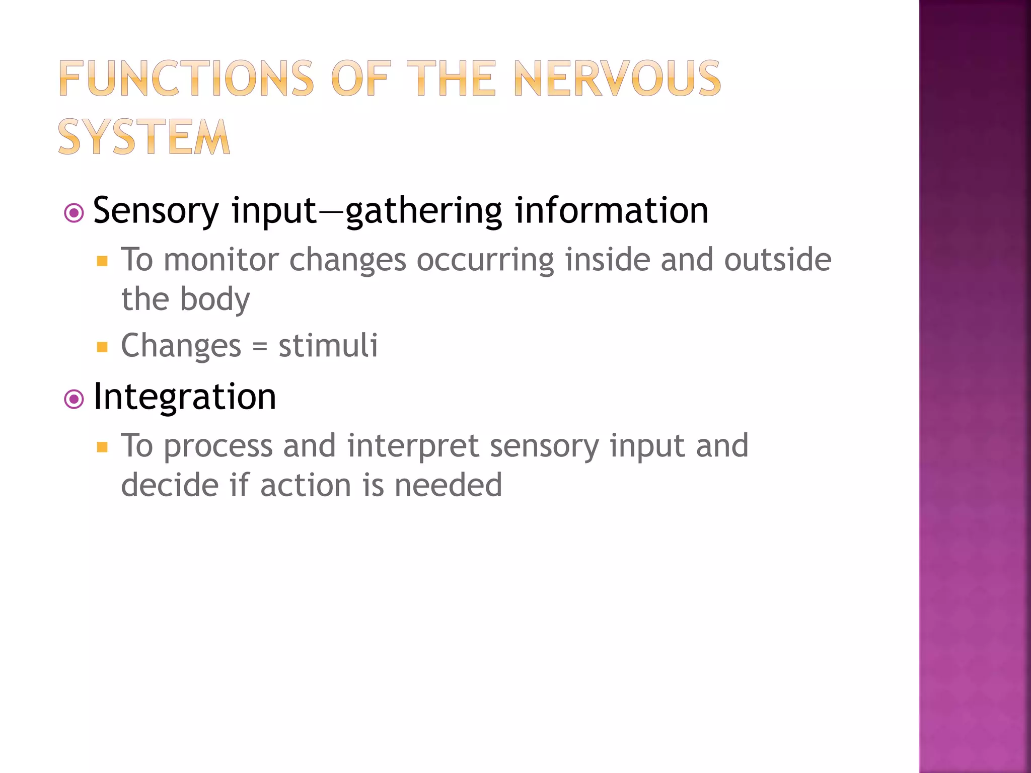 Chapter 7 - The Nervous System | PPTX