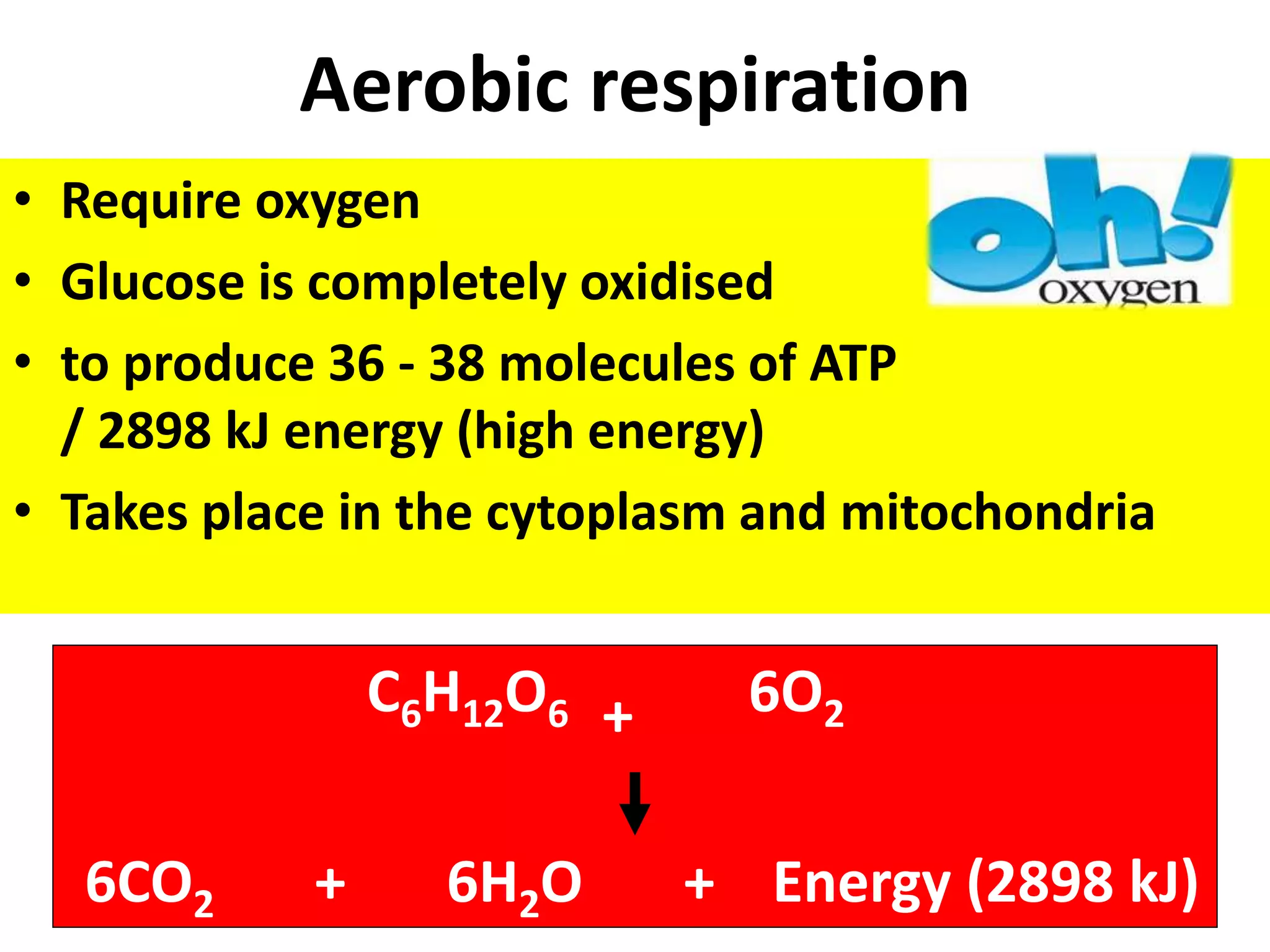 BIOLOGY FORM 4 CHAPTER 7 - RESPIRATION PART 1 | PPTX