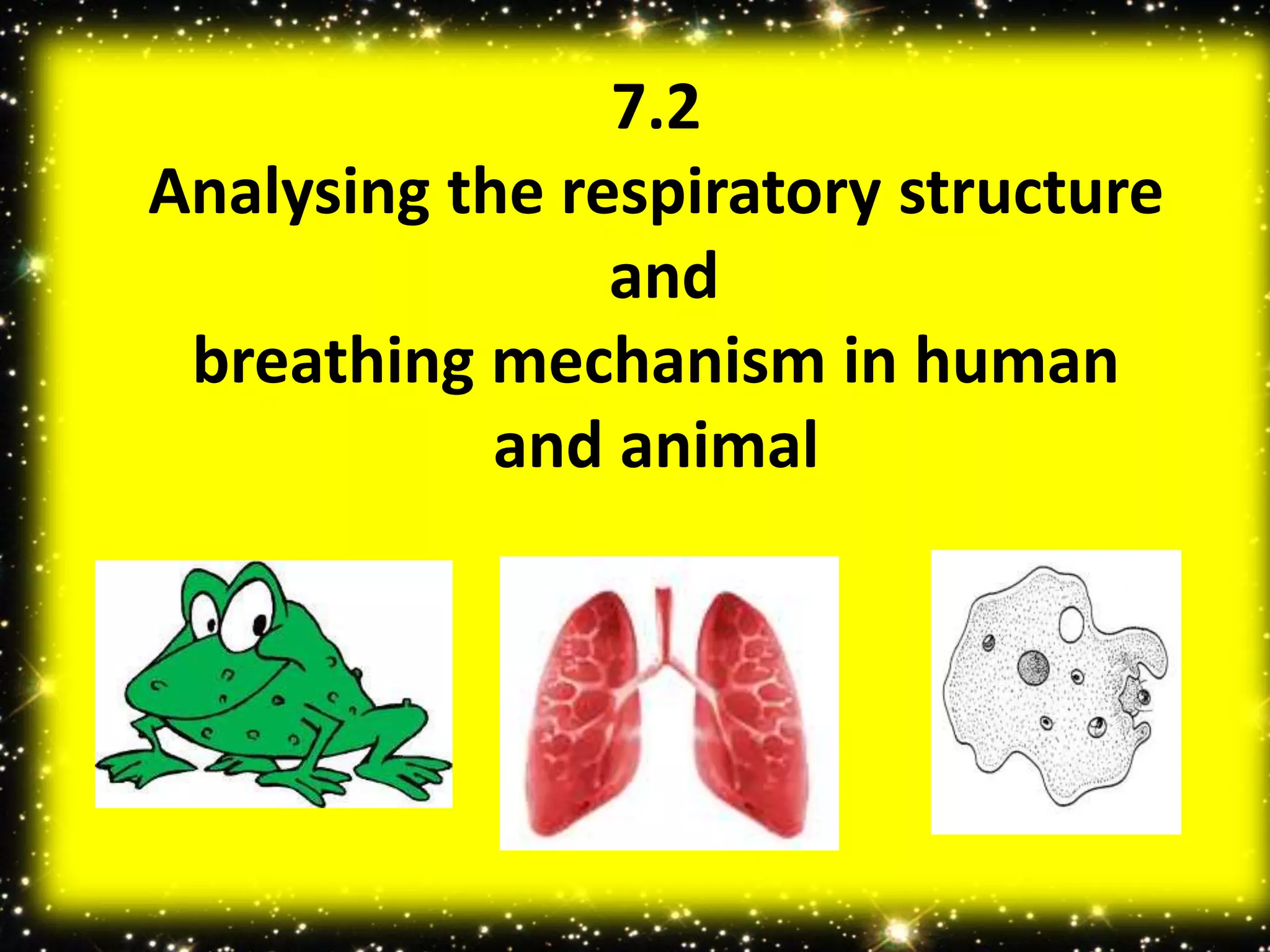 BIOLOGY FORM 4 CHAPTER 7 - RESPIRATION PART 1 | PPTX