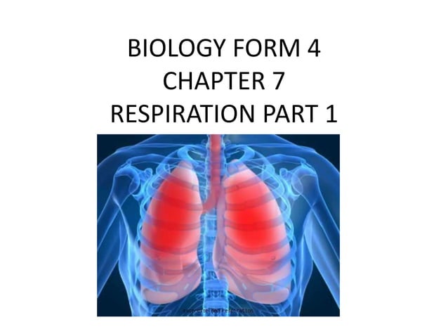 BIOLOGY FORM 4 CHAPTER 7 - RESPIRATION PART 1 | PPTX | Lung and ...