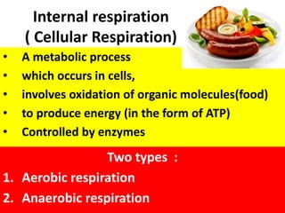 BIOLOGY FORM 4 CHAPTER 7 - RESPIRATION PART 1 | PPTX