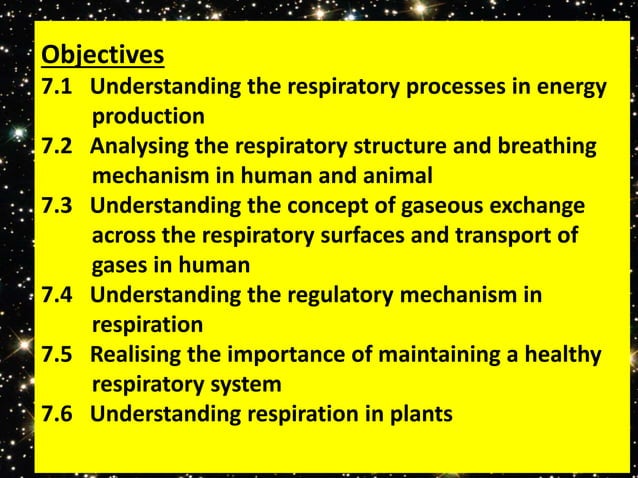 BIOLOGY FORM 4 CHAPTER 7 - RESPIRATION PART 1 | PPTX | Lung and ...