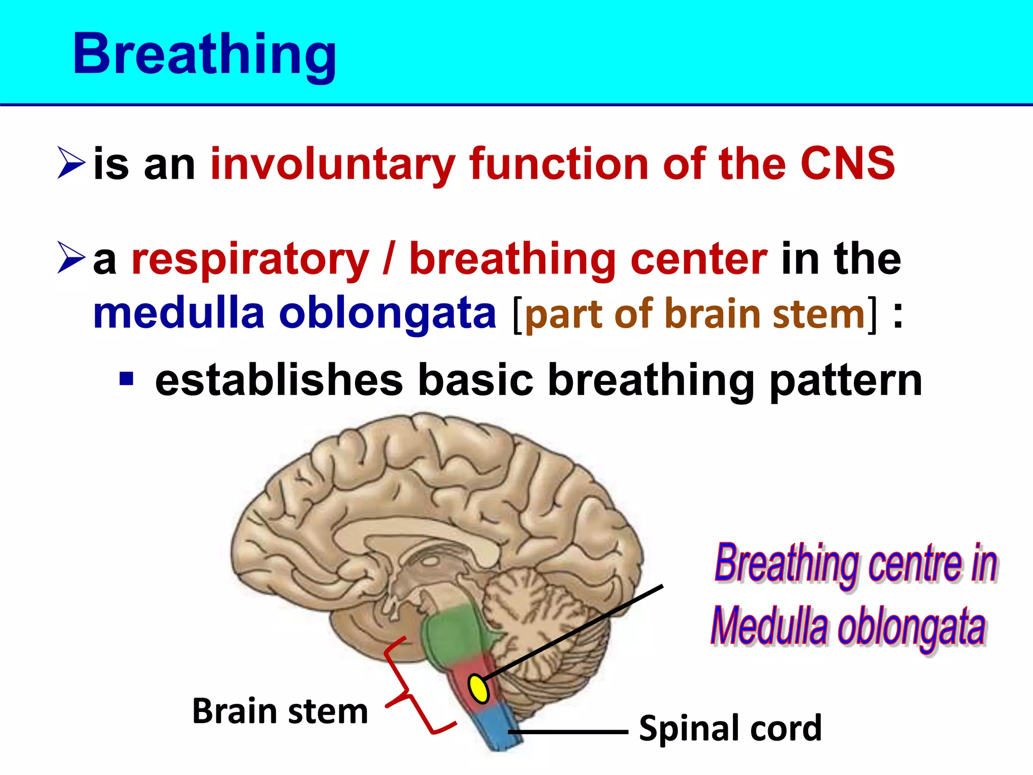 BIOLOGY FORM 4 CHAPTER 7 - RESPIRATION PART 2 | PPTX