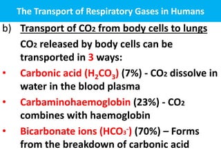 BIOLOGY FORM 4 CHAPTER 7 - RESPIRATION PART 2 | PPT