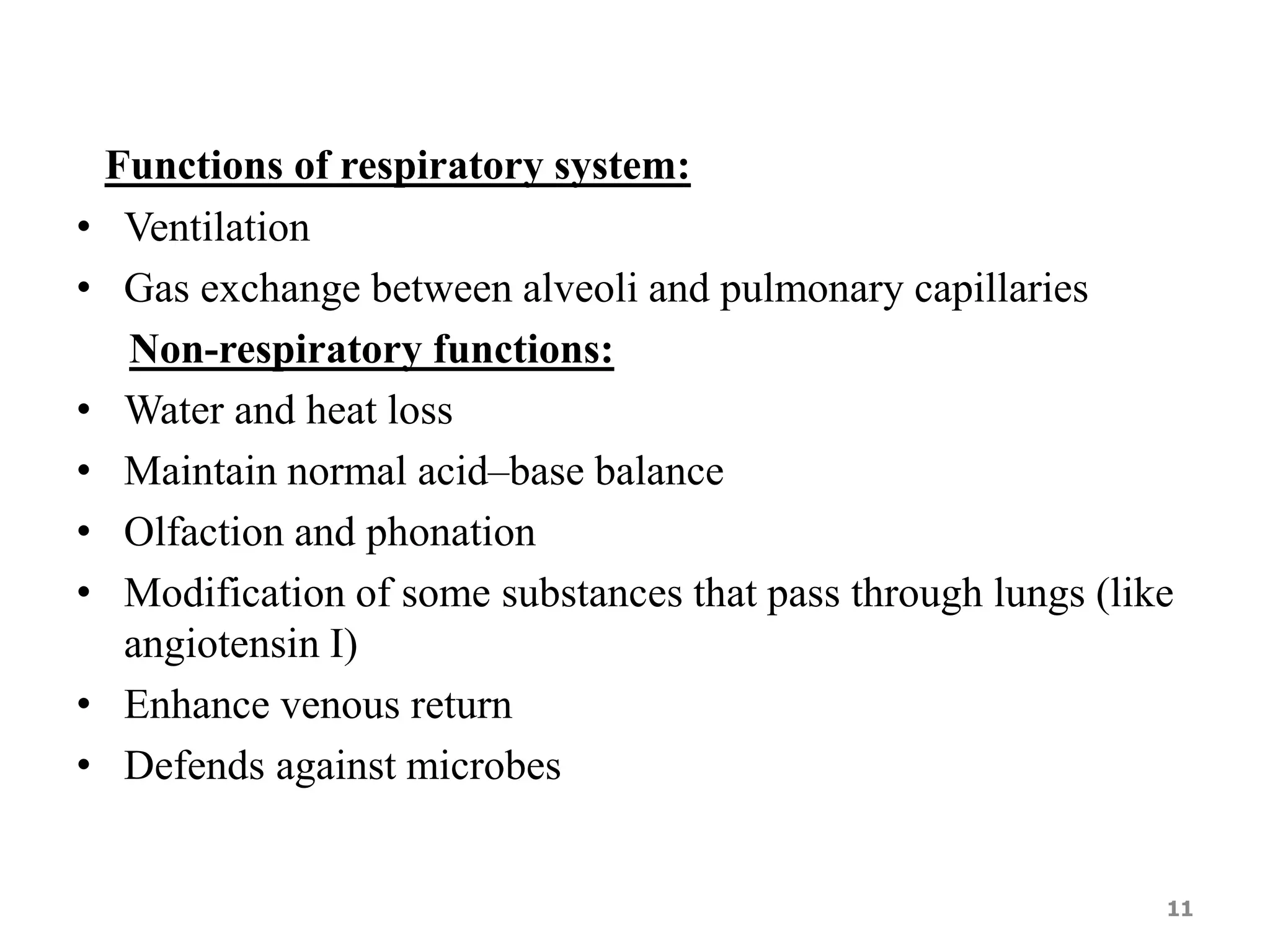 Chapter 7- Respiratory Physiology (2).ppt | Lung and Respiratory Health | Diseases and Conditions