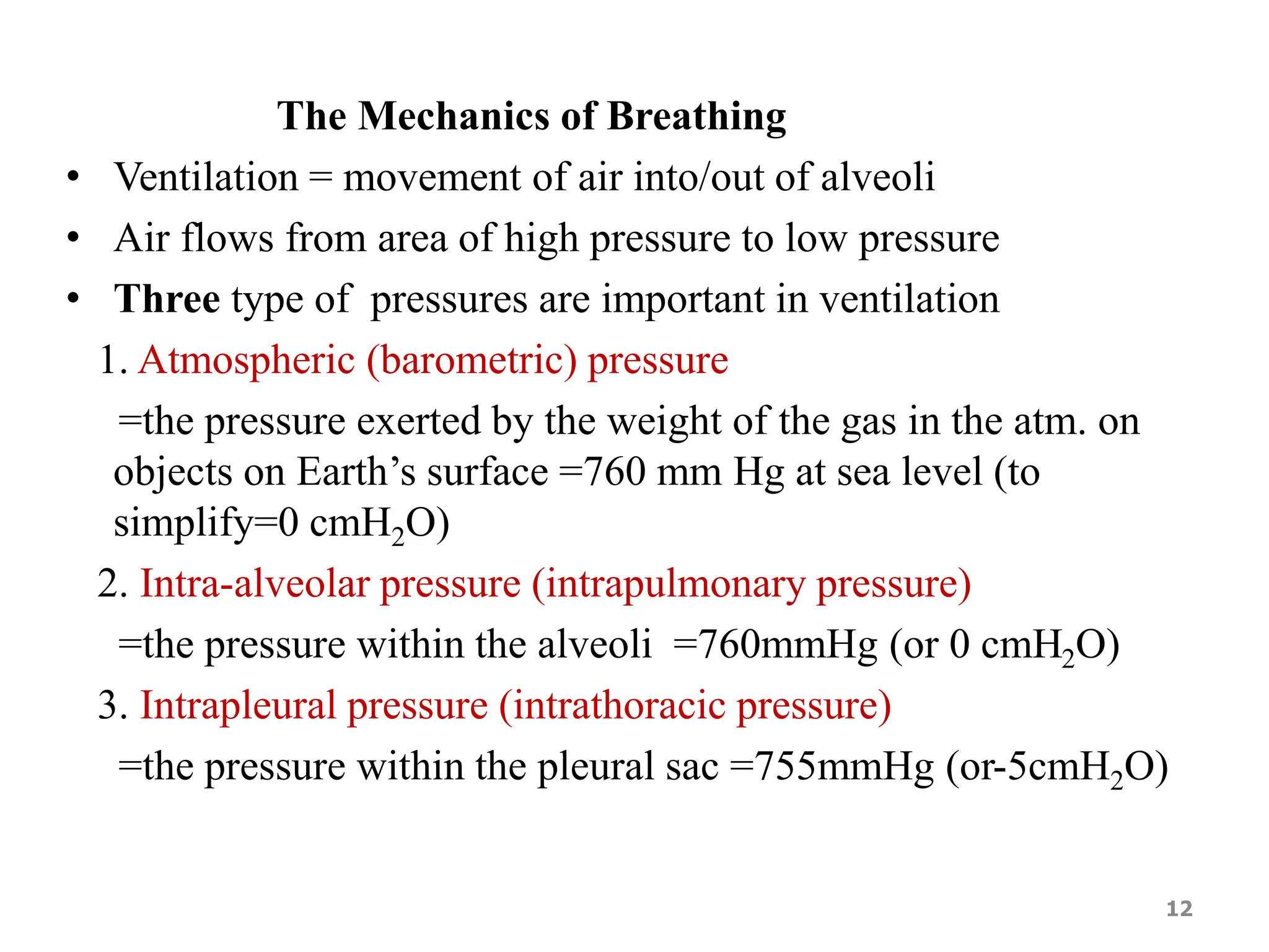 Chapter 7- Respiratory Physiology (2).ppt | Lung and Respiratory Health ...
