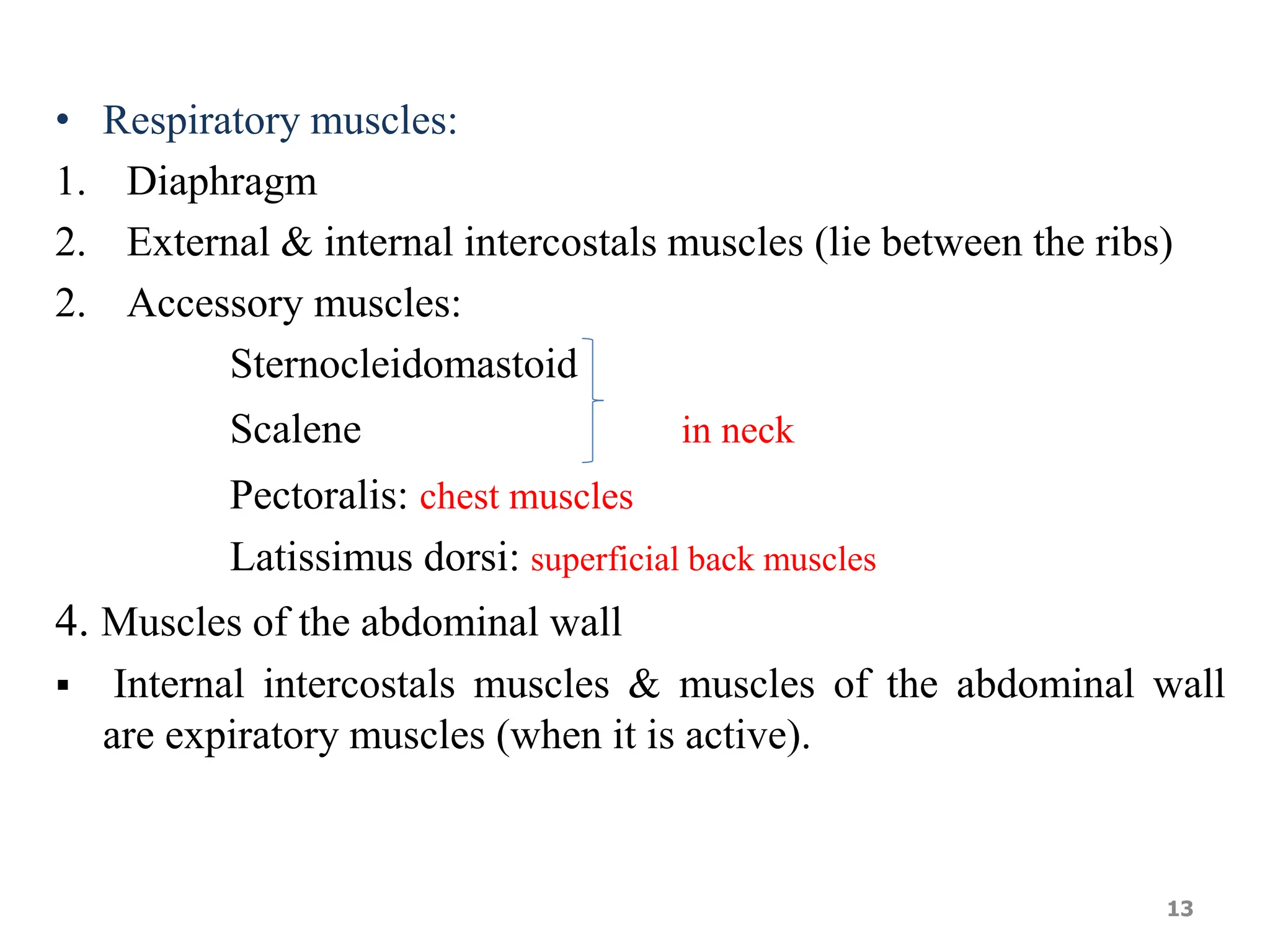 Chapter 7- Respiratory Physiology (2).ppt | Lung and Respiratory Health ...
