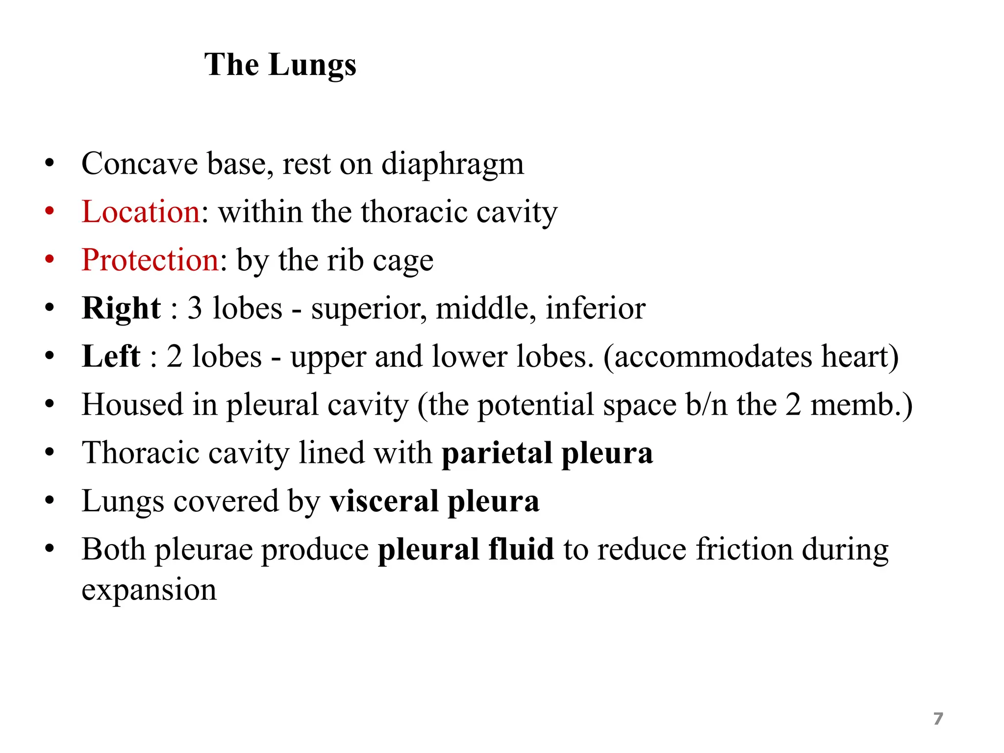 Chapter 7- Respiratory Physiology (2).ppt | Lung and Respiratory Health ...