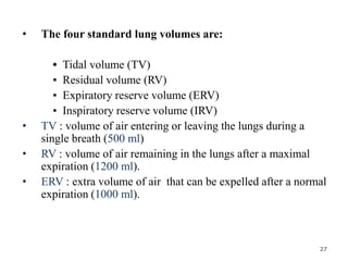 Chapter 7- Respiratory Physiology (2).ppt