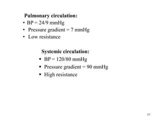 Chapter 7- Respiratory Physiology (2).ppt | Lung and Respiratory Health ...