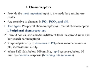 Chapter 7- Respiratory Physiology (2).ppt