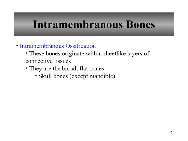 Chapter 7 Skeletal System | PPT