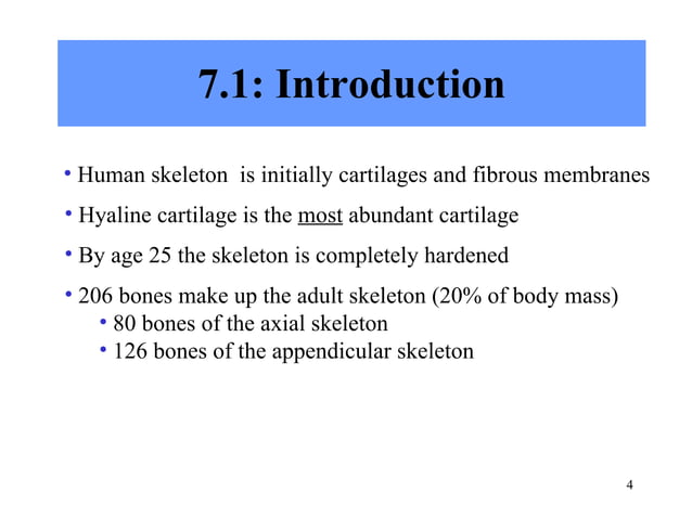 Chapter 7 Skeletal System | PPT