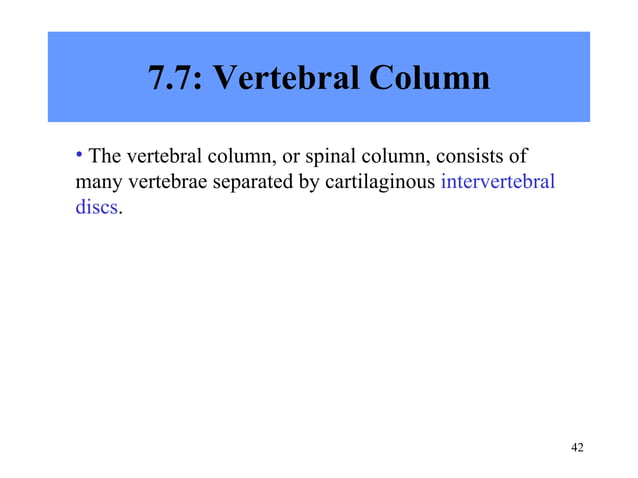 Chapter 7 Skeletal System | PPT