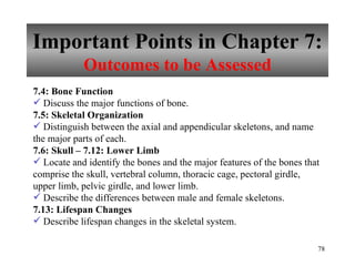 Chapter 7 Skeletal System | PPT
