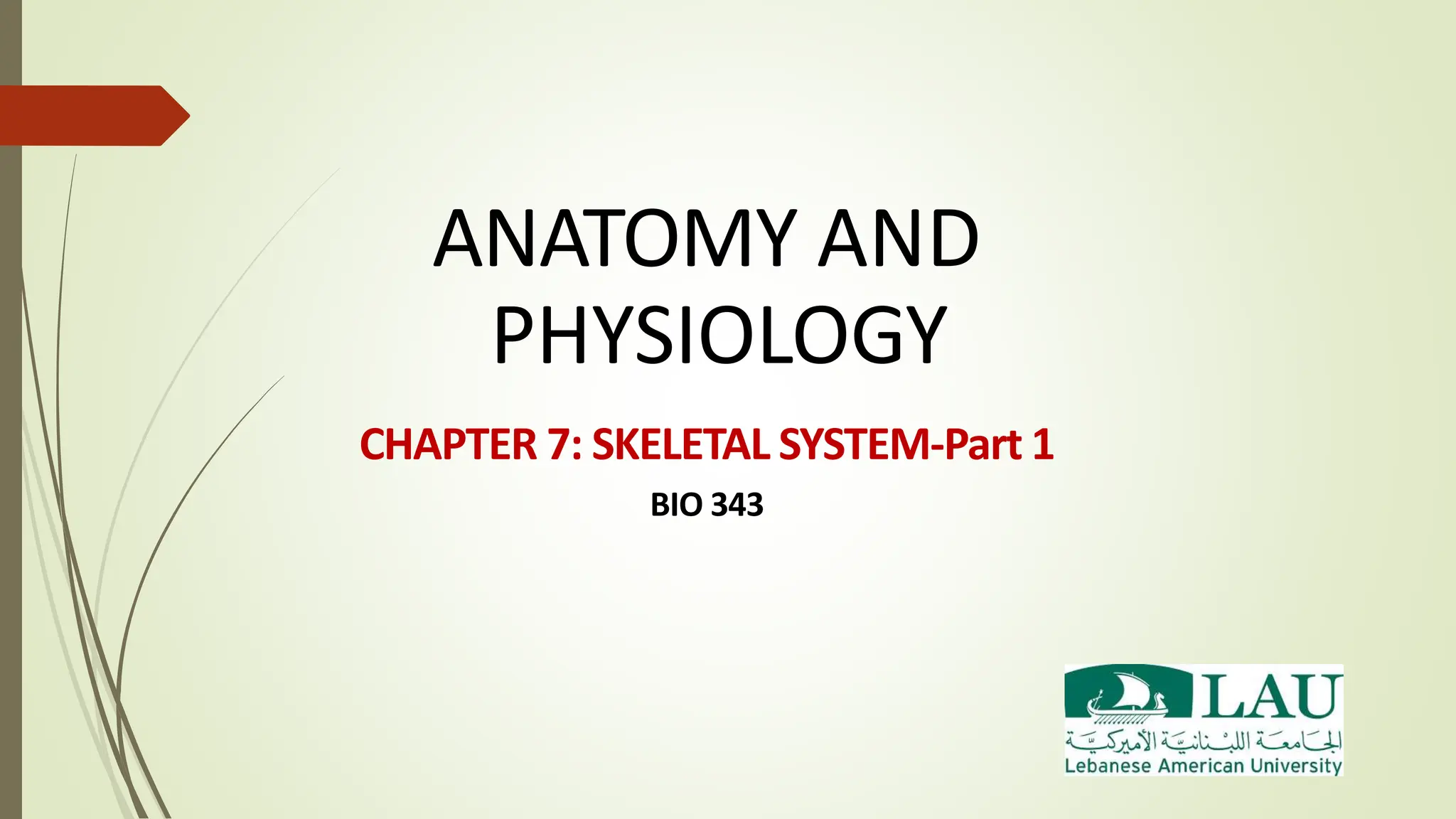 Chapter 7- Skeletal System-Part 1-SR.pptx
