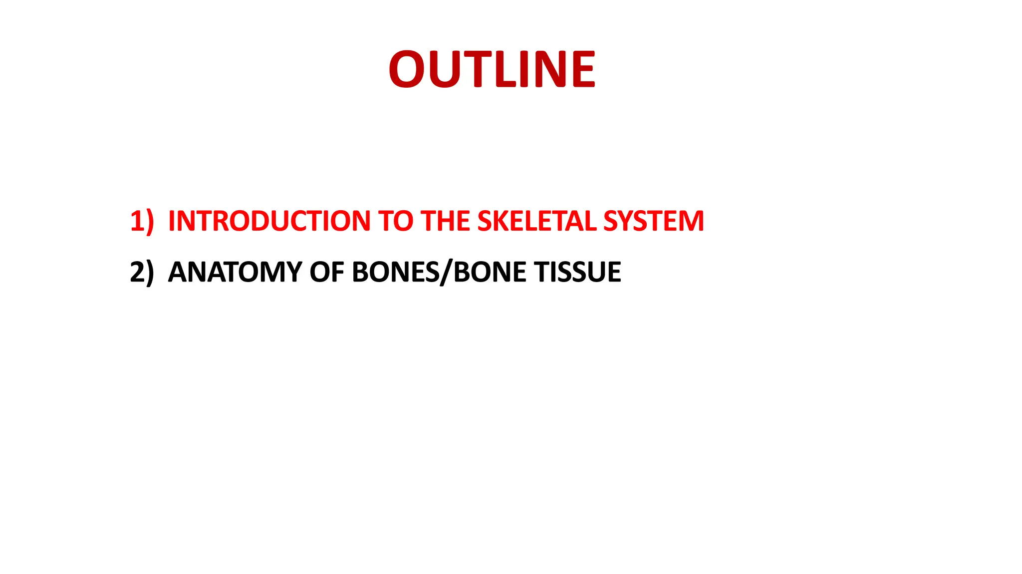 Chapter 7- Skeletal System-Part 1-SR.pptx