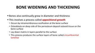 Chapter 7- Skeletal System-Part 1-SR.pptx | Bone and Joint Conditions ...