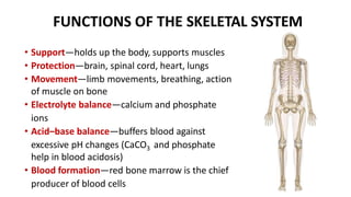 Chapter 7- Skeletal System-Part 1-SR.pptx | Bone and Joint Conditions | Diseases and Conditions