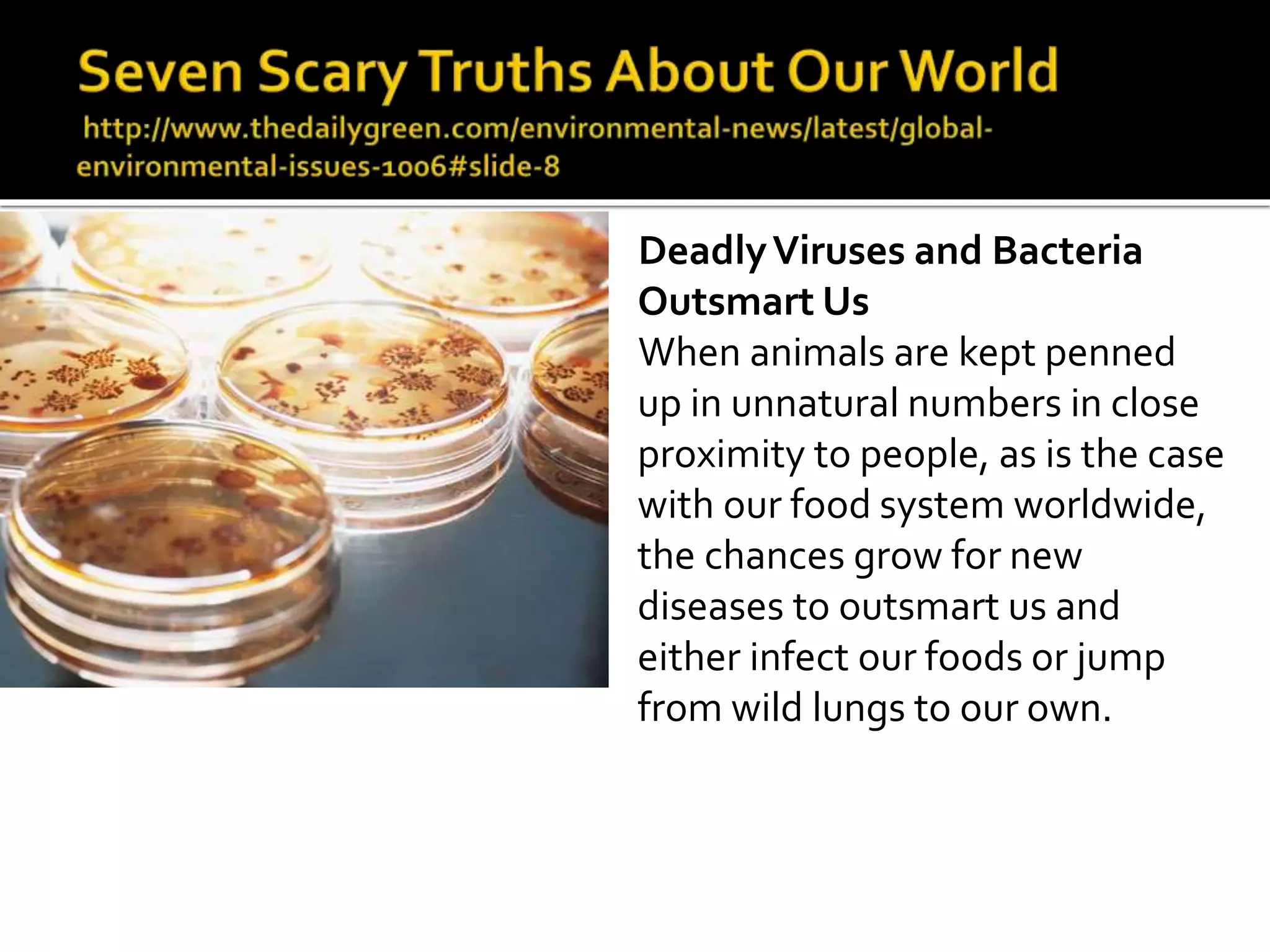 Chapter 7 ungc environmental principles | PPTX
