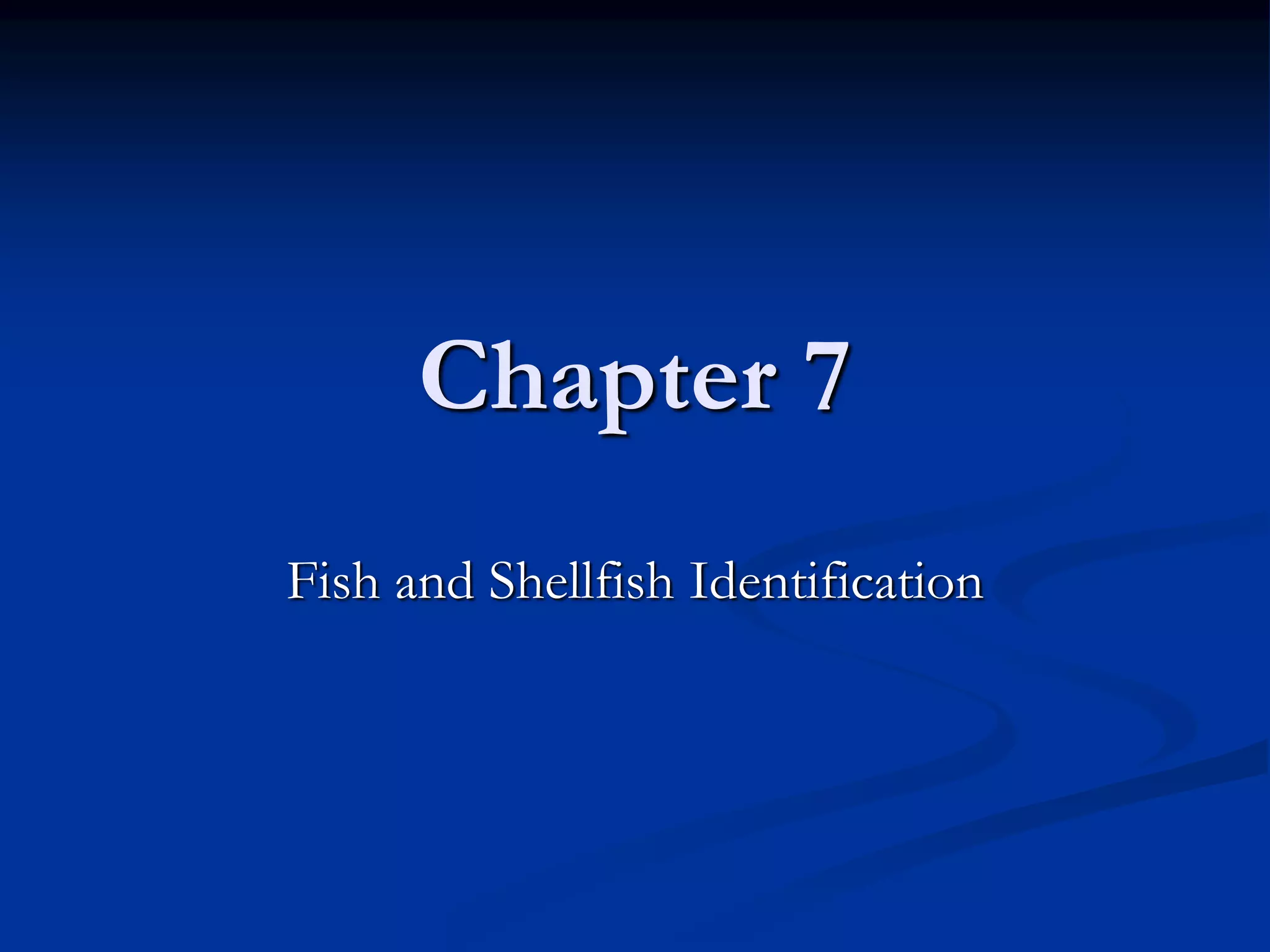 Chapter7 .ppt