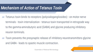 chapter 72 - Tetanus.pptx | Infectious Diseases | Diseases and Conditions