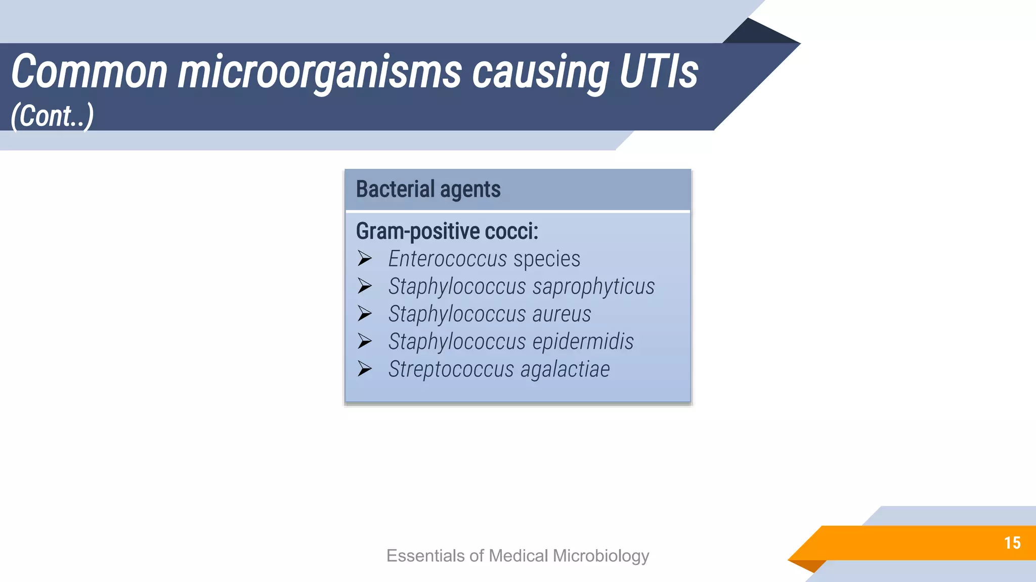chapter 76 - Infective Syndromes of Urinary Tract.pptx