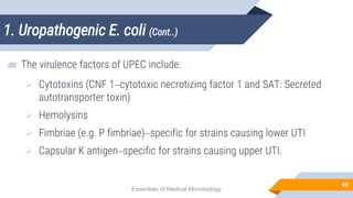 chapter 76 - Infective Syndromes of Urinary Tract.pptx