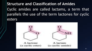 Cyclic Amide Hydrolysis