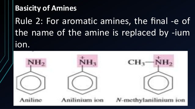 Chapter 7 Amines and Amides