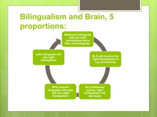 Bilingualism and Cognition, Collin Baker | PPT