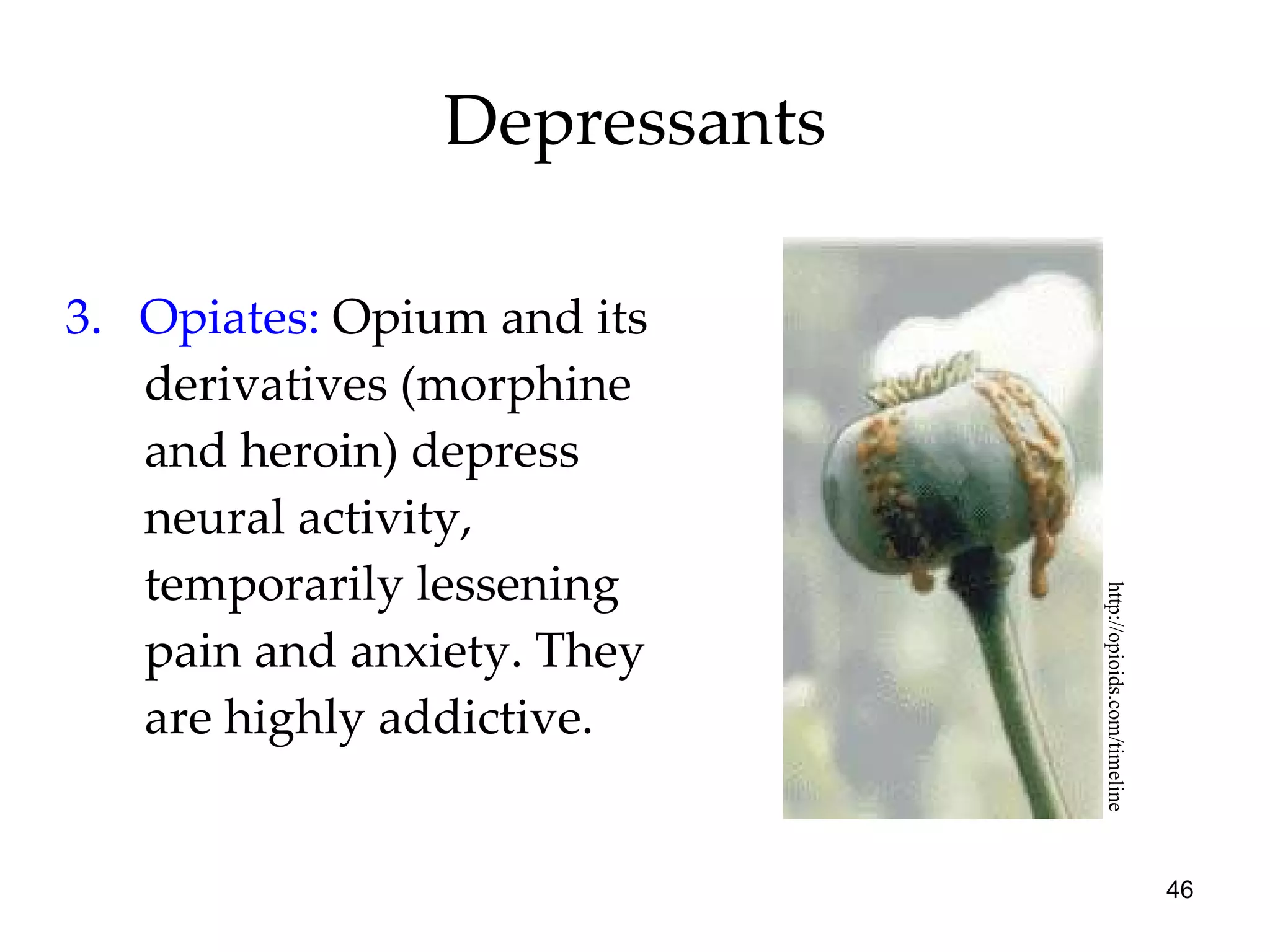 Chapter 7 ap psych- States of Consciousness | PPT