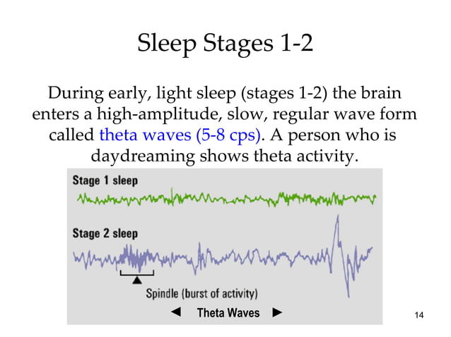 Chapter 7 ap psych- States of Consciousness | PPT