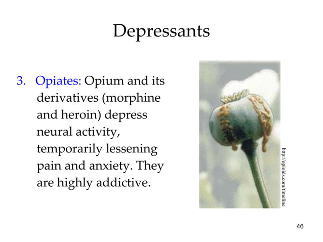 Chapter 7 ap psych- States of Consciousness | PPT