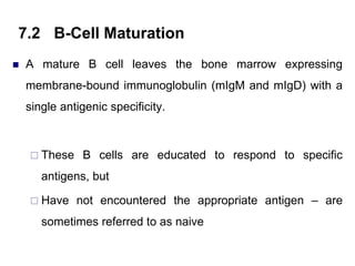 Chapter 7 Basic immunology ppts DZ 2010.ppt