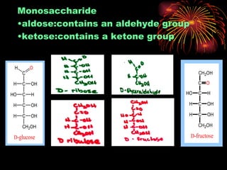 Chapter 7 carbohydrates | PPT