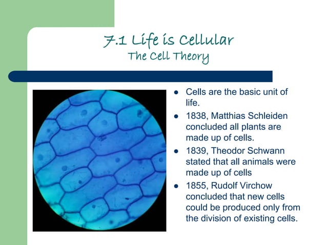 Chapter 7 cells power point student version | PPT