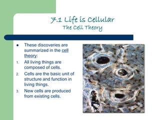 Chapter 7 cells power point student version | PPT