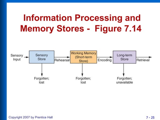 Chapter 7 Consumer Learning | PPT | Business | Business and Finance