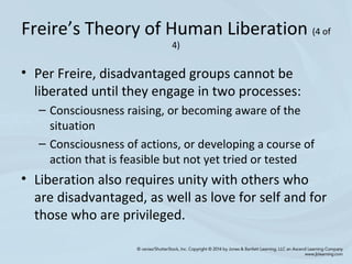 Chapter 7 critical theory and emancipatory knowing | PPT