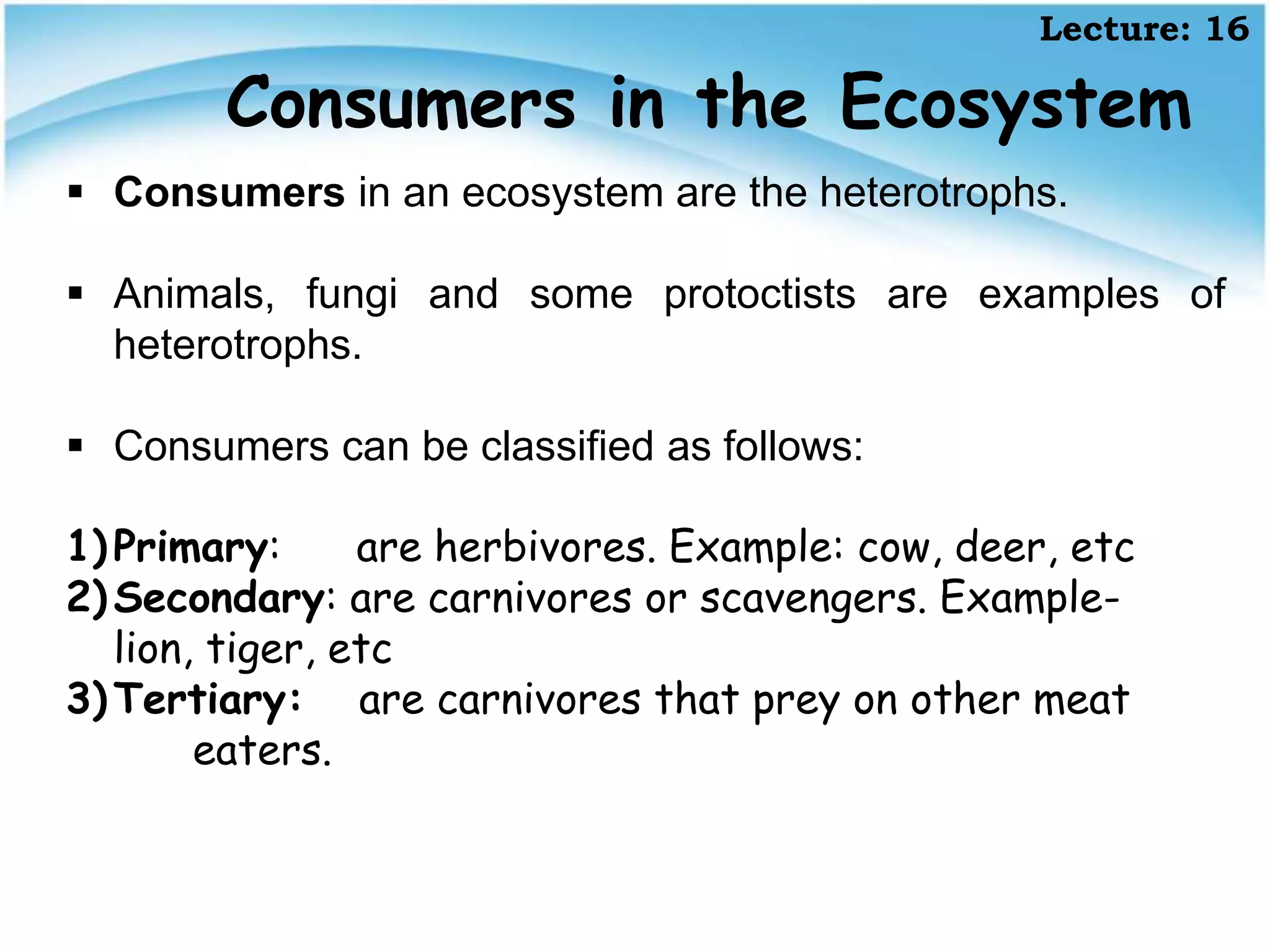 Chapter 7 ecosystem.ppt