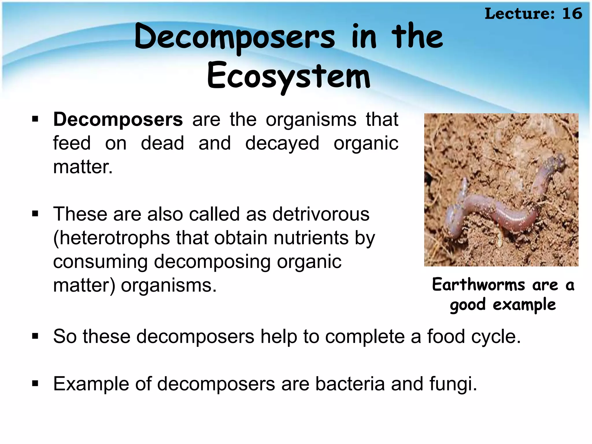 Chapter 7 ecosystem.ppt