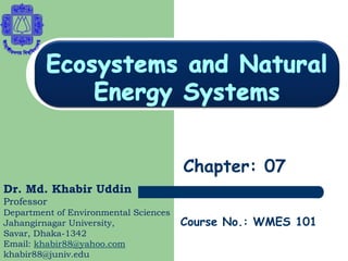 Chapter 7 ecosystem.ppt