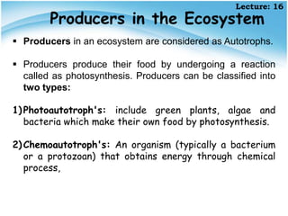 Chapter 7 ecosystem.ppt