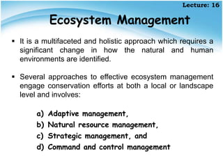 Chapter 7 ecosystem.ppt