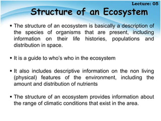 Chapter 7 ecosystem.ppt