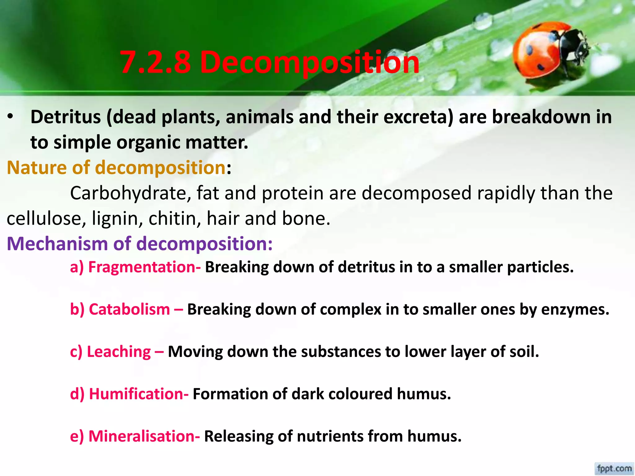 Chapter 7 ecosystem ppt english | PPTX