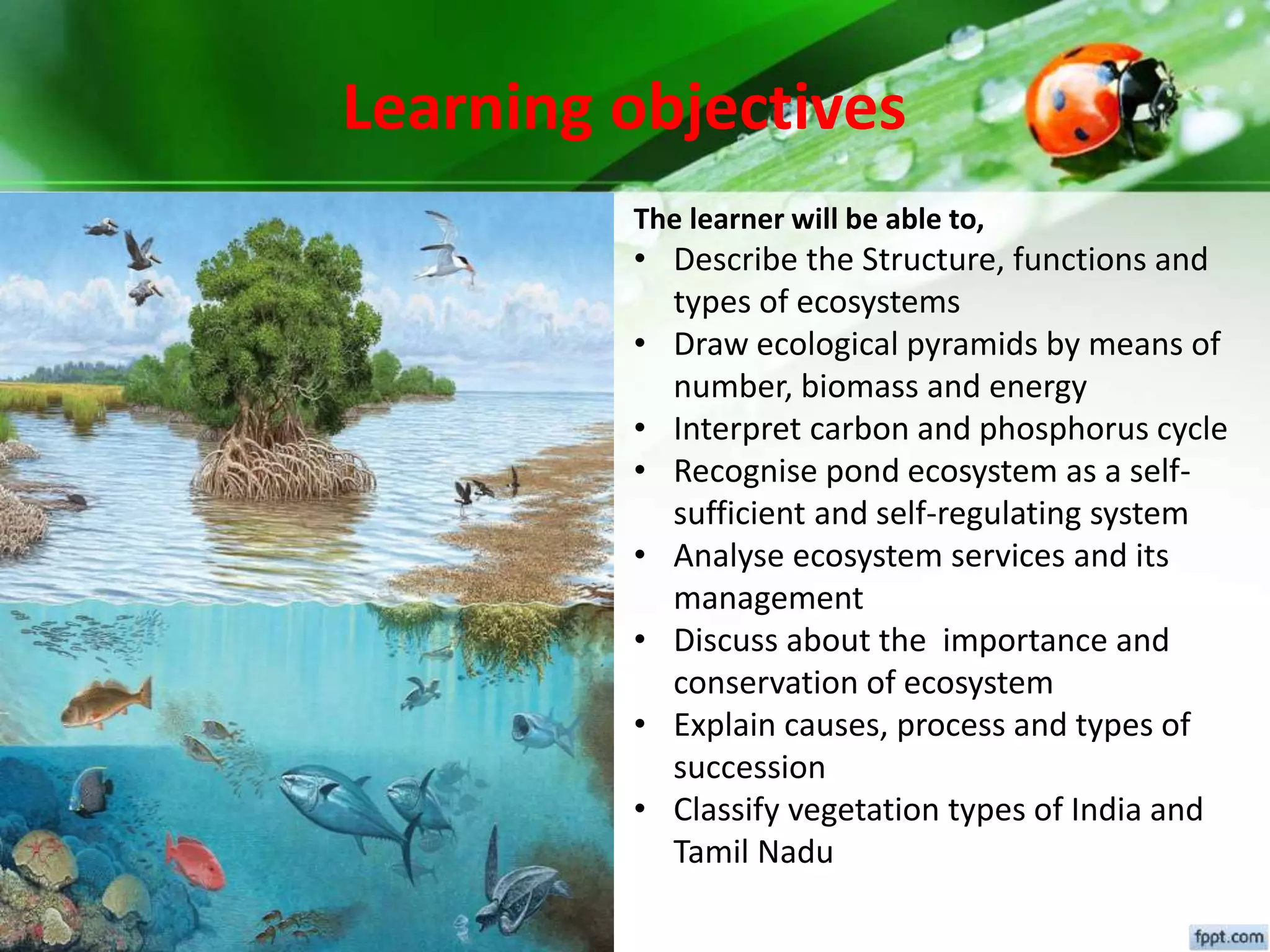 Chapter 7 ecosystem ppt english | PPTX