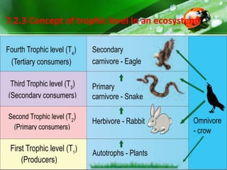 Chapter 7 ecosystem ppt english | PPTX