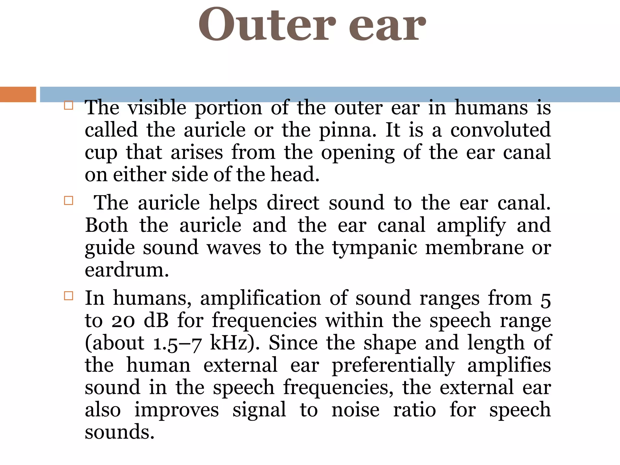 Chapter 7 effect of noise pollution | PPT
